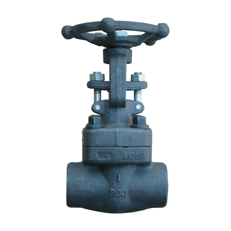 ANSI-Gate valves Archive - Fromme F&M Armaturen Vertriebs GmbH